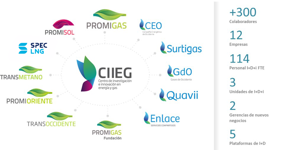 Páginas - CIIEG, Nuestro Ecosistema