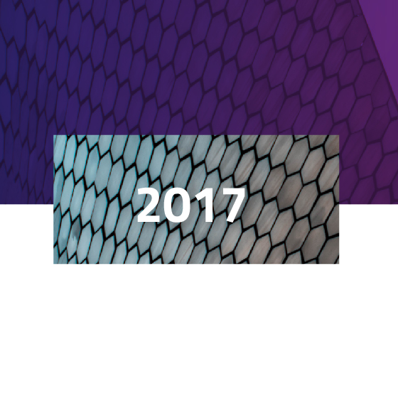 Páginas - Nuestra Historia