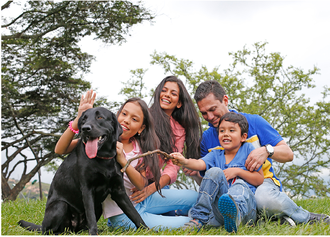 Páginas - Sobre Promigas